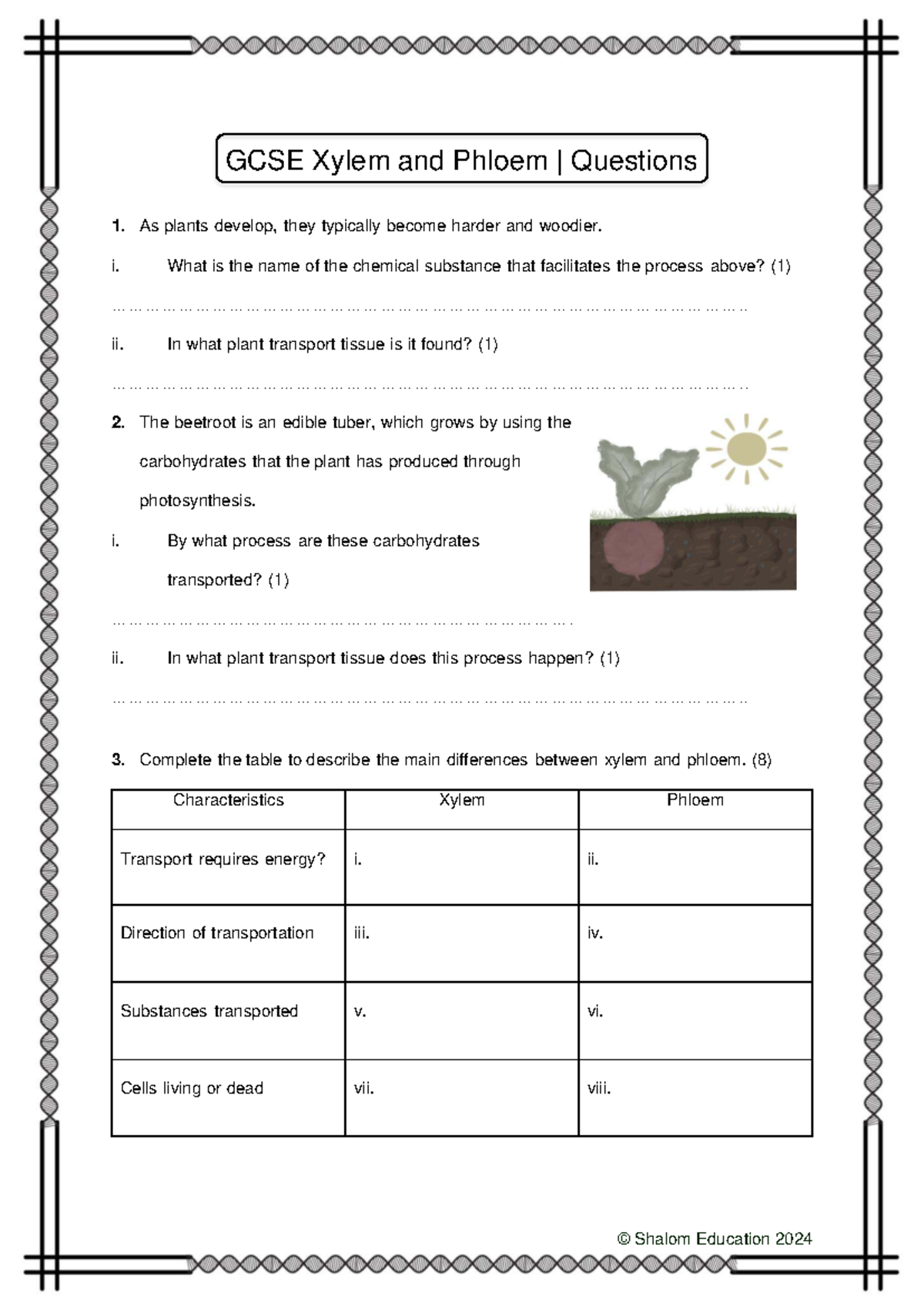 GCSE Biology: Xylem and Phloem Transport Questions and Differences ...