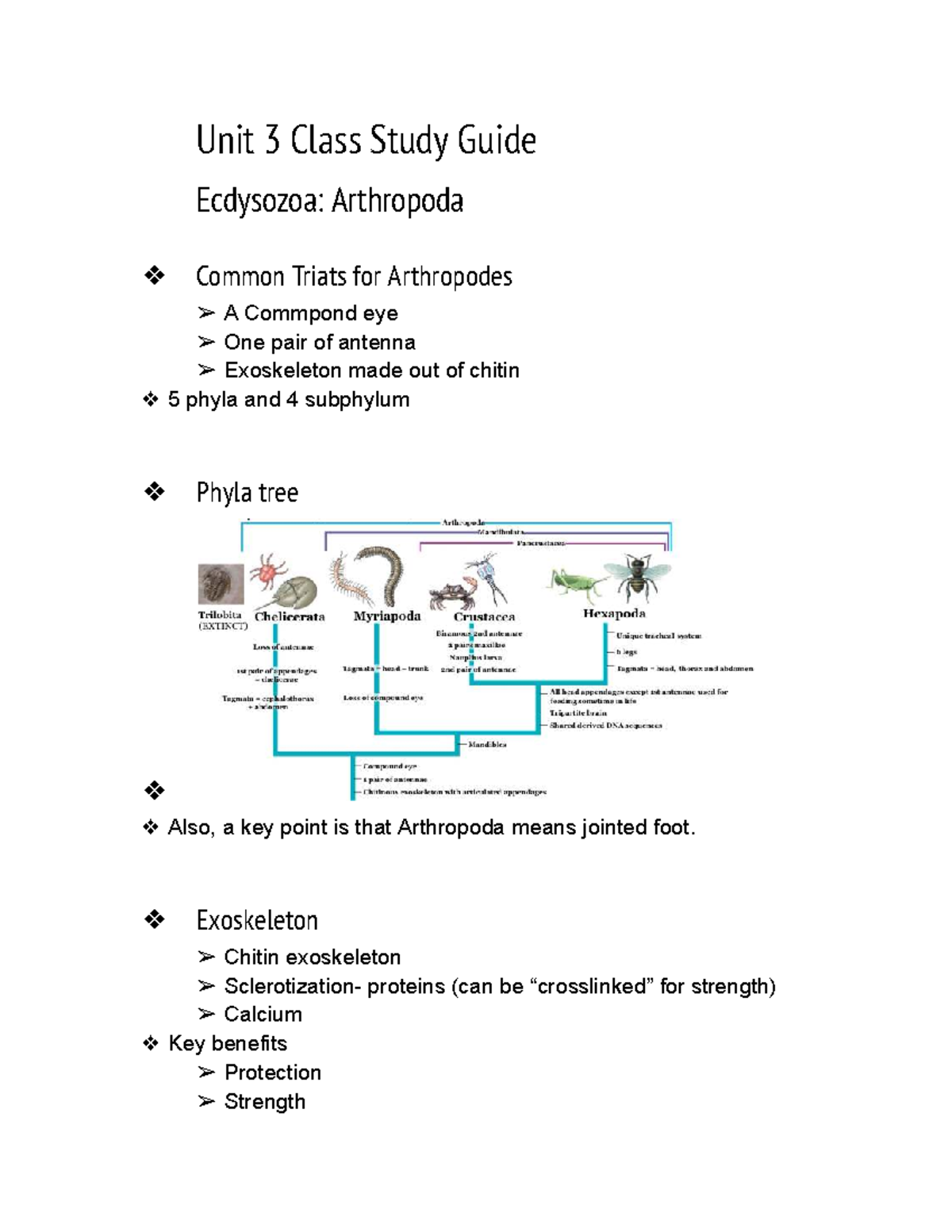 Unit 3 Study Guide: Ecdysozoa and Arthropoda Overview - Unit 3 Class ...