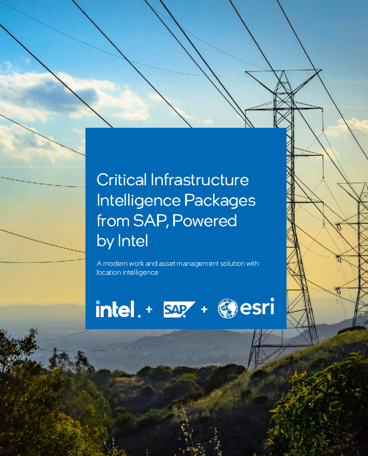 Critical Infrastructure Intelligence Packages: SAP & Intel Solutions ...