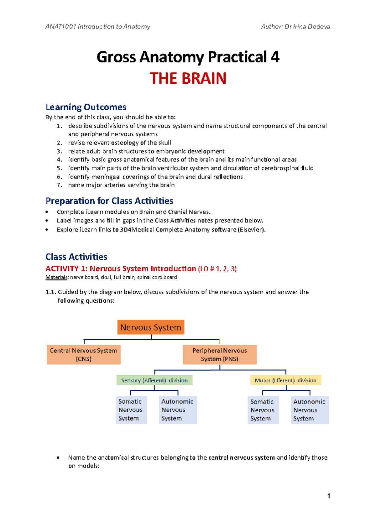 ANAT1001 Gross Anatomy Practical 4: The Brain and Its Structures - Gross Anatomy Practical 4 THE ...