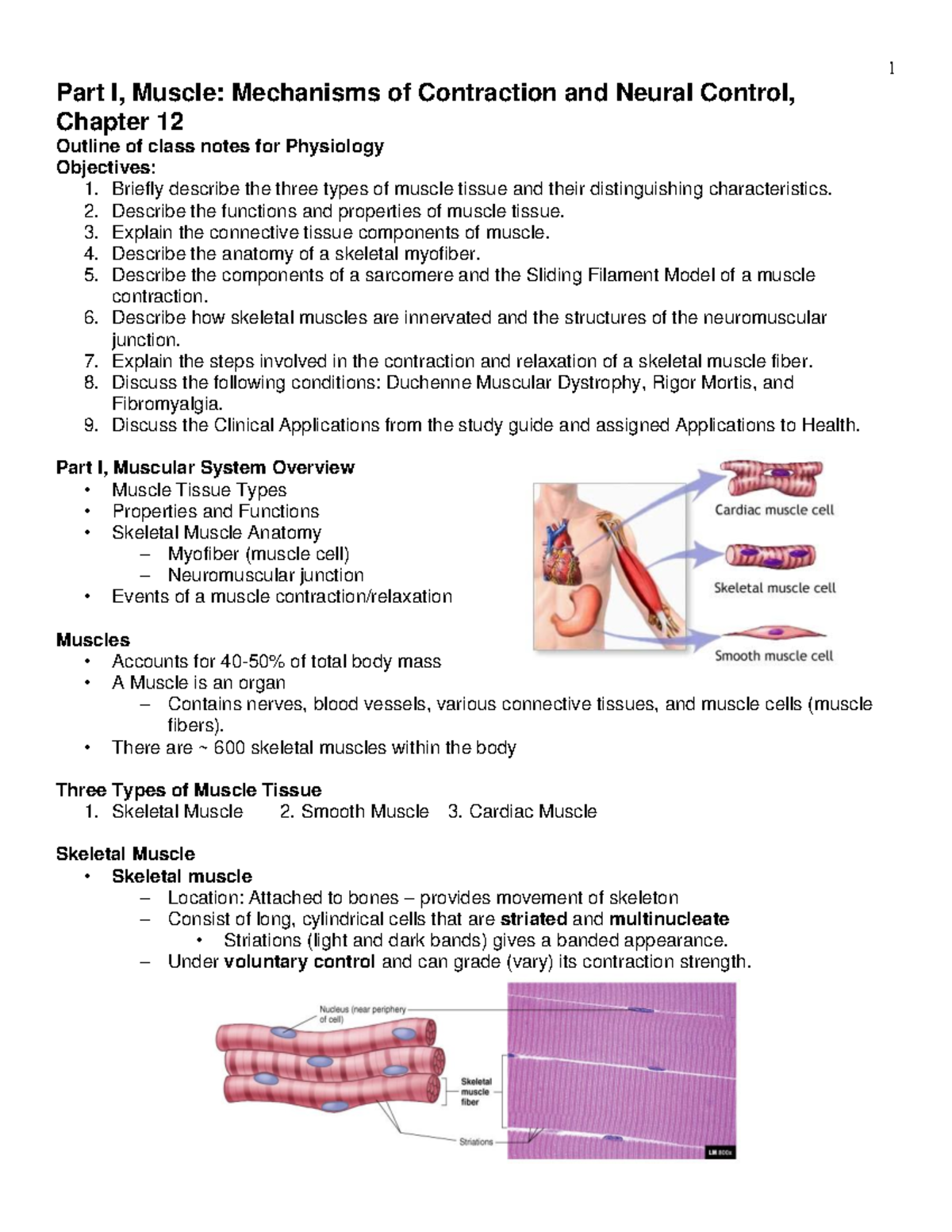 Physiology Lecture Notes: Mechanisms of Muscle Contraction (Part II ...