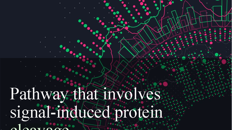 Chapter 16: NFκB Activation via Protein Cleavage and Degradation - Studocu
