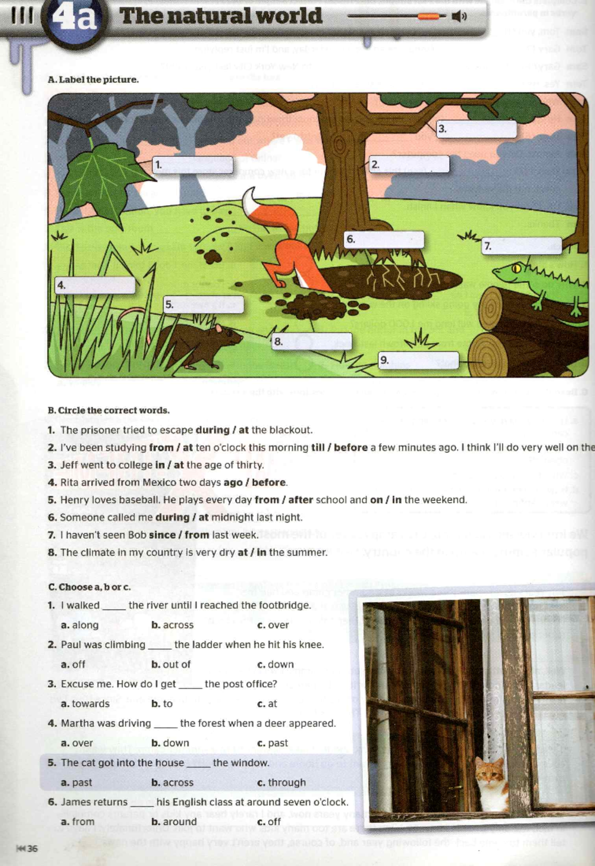 Workbook 5to - 4to bimestre - II 4a The natural world A. Label the ...
