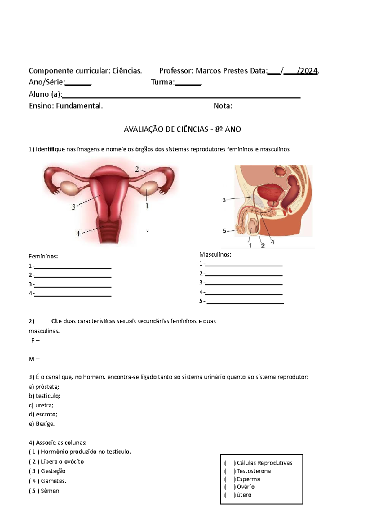 Avaliação sistema reprodutor 8 ano - Componente curricular: Ciências ...