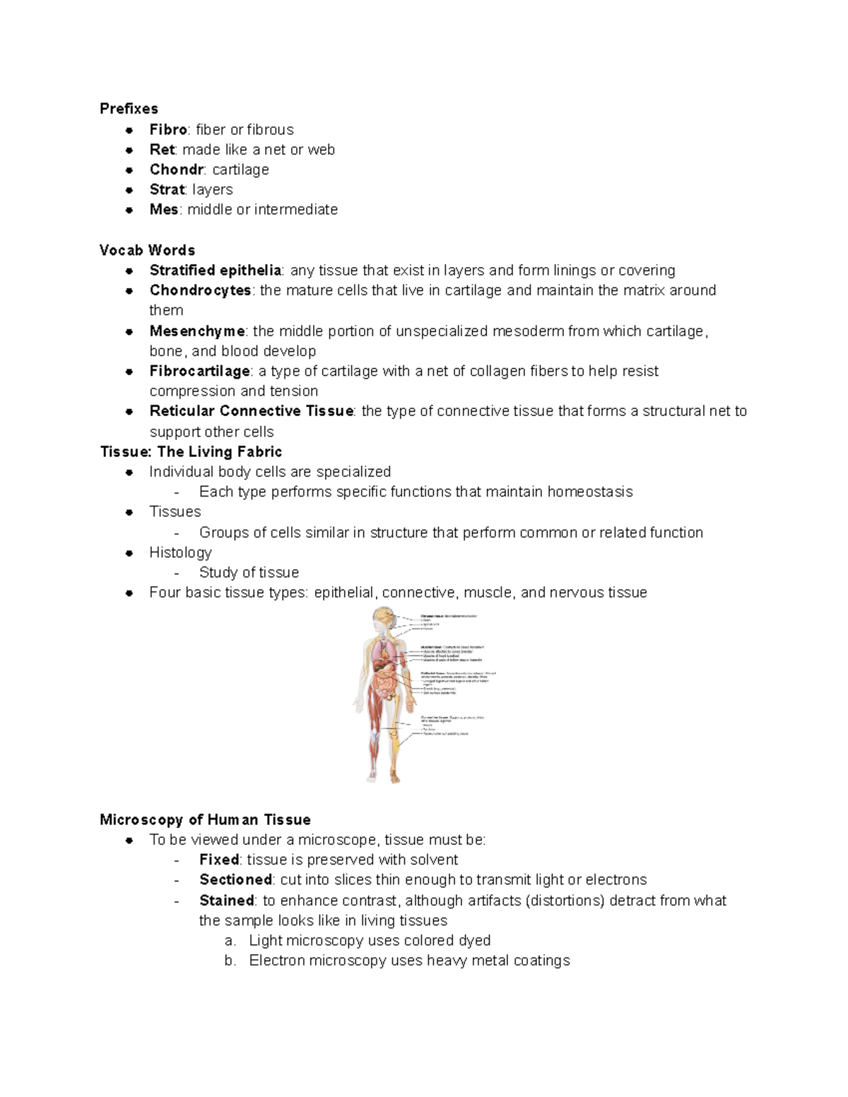 Human Anatomy & Physiology CH 4: Key Concepts on Tissue Types - Studocu