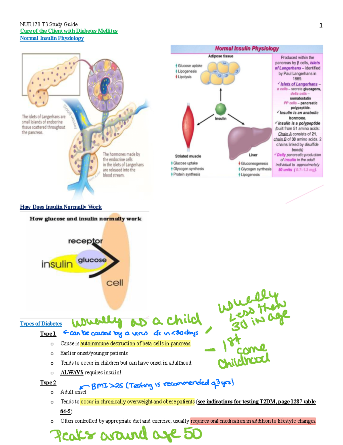 Notes Exam Three - Care of the Client with Diabetes Mellitus Normal ...