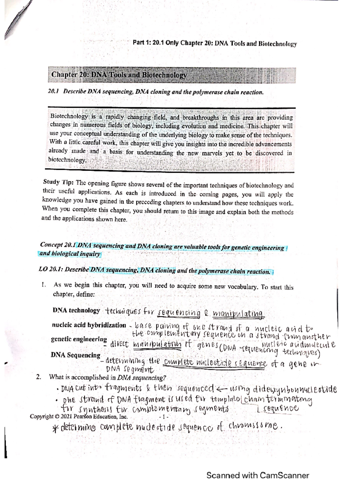 Chapter 20.1 Reading Guide: DNA Tools & Biotechnology Overview - Studocu