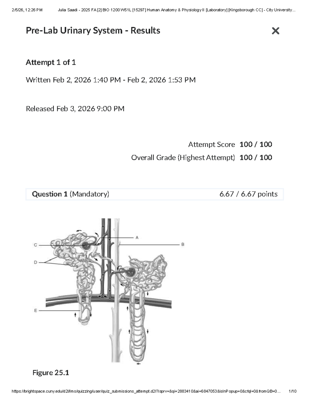 BIO 1200 W51L Pre-Lab Urinary System Results - Studocu