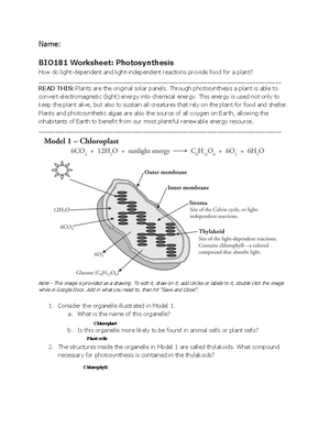 BIO181 Exam 2 - Exam 2 notes - BIO 181: General Biology I (2018 Summer ...