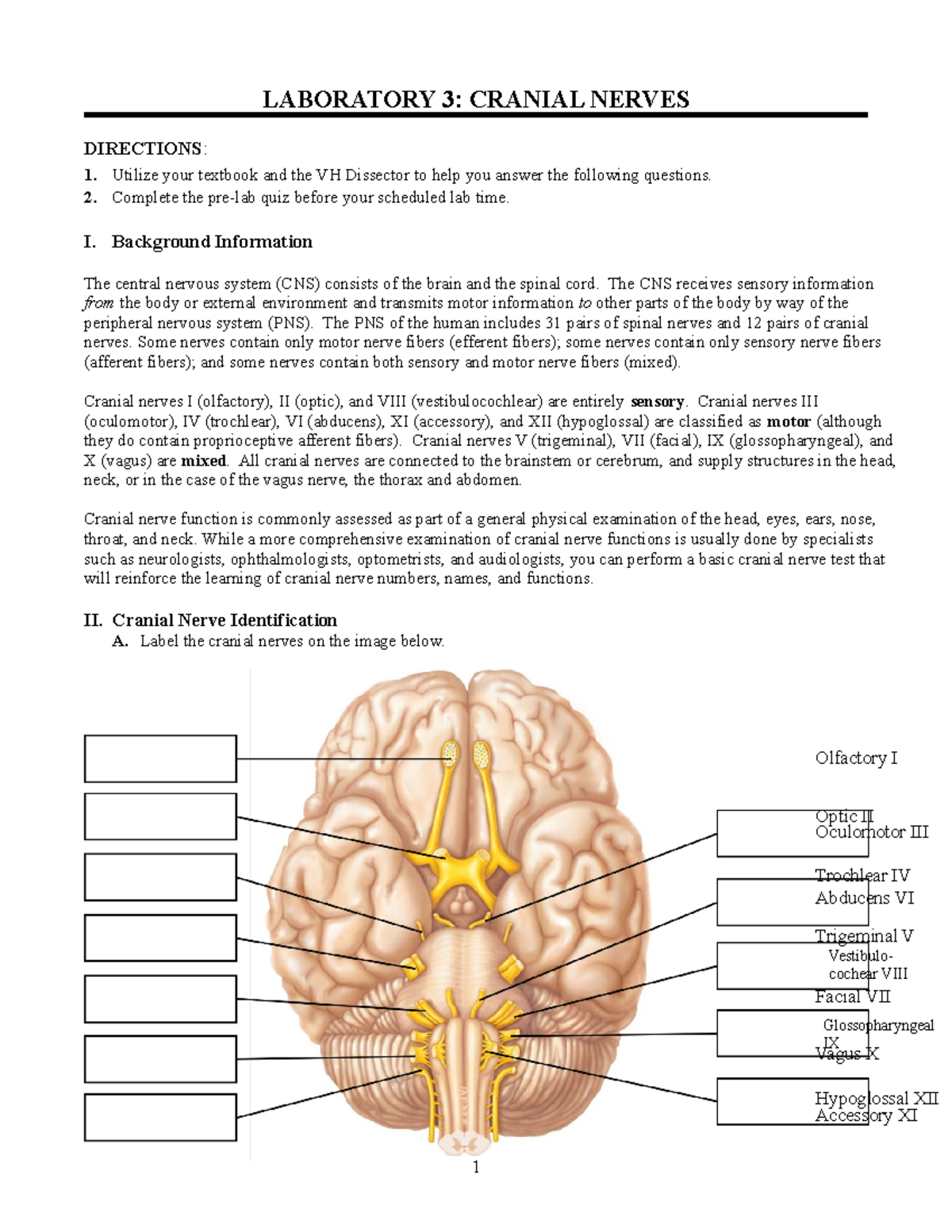 HSCI 102 Lab 3 Pre-Lab Worksheet Winter 2023 - LABORATORY 3: CRANIAL NERVES DIRECTIONS: 1 ...