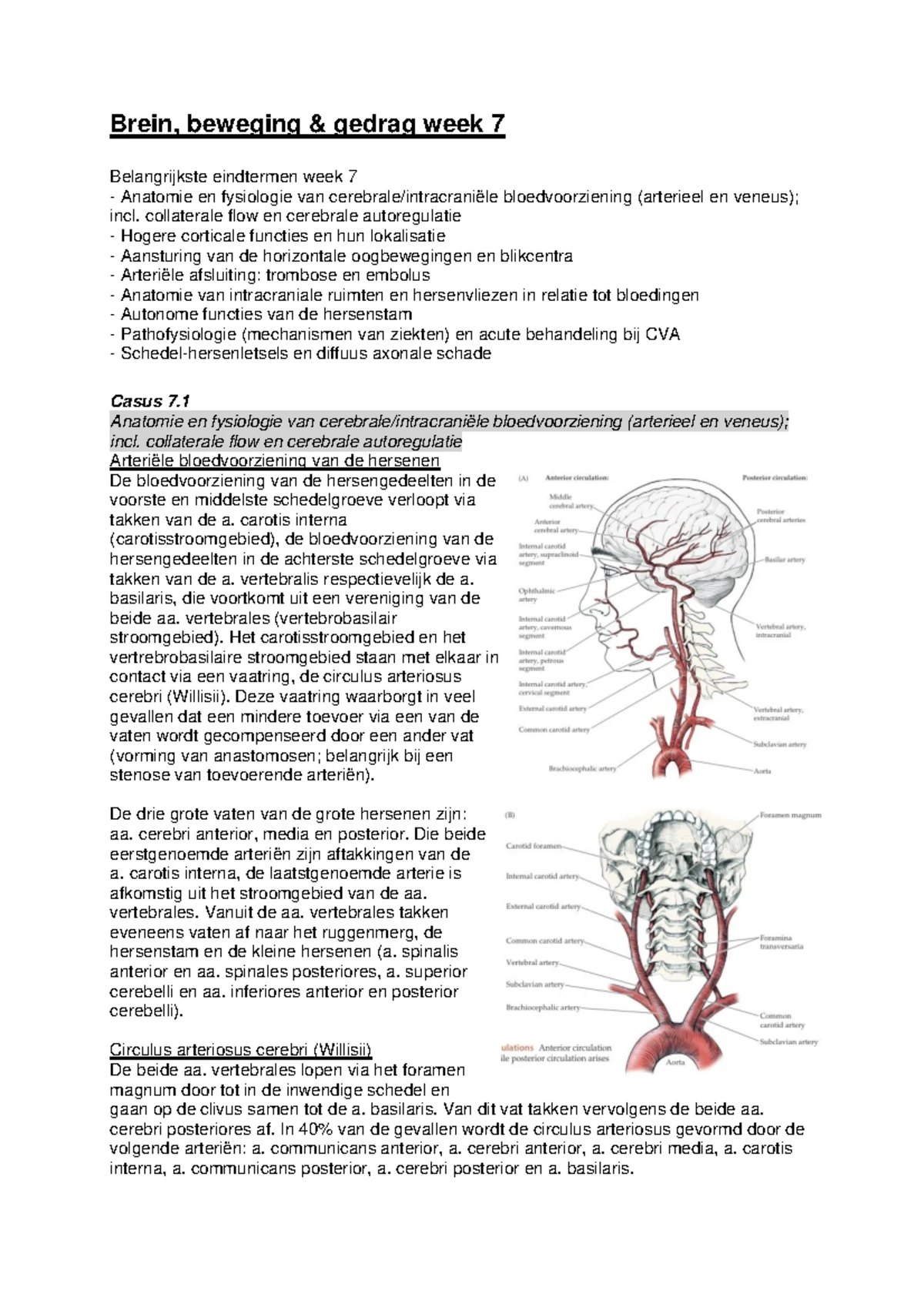 Vlakken en assen in anatomie - Vlakken en assen in anatomie Sagittaal ...