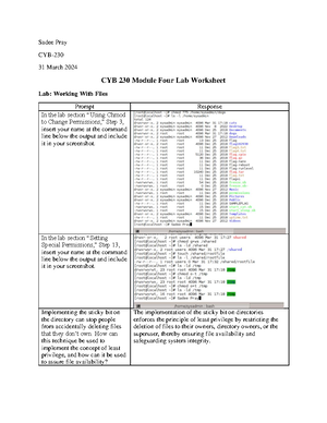 CYB-300 MOD 6 - Cyb-300 Module 6 lab assignments with photos and short ...