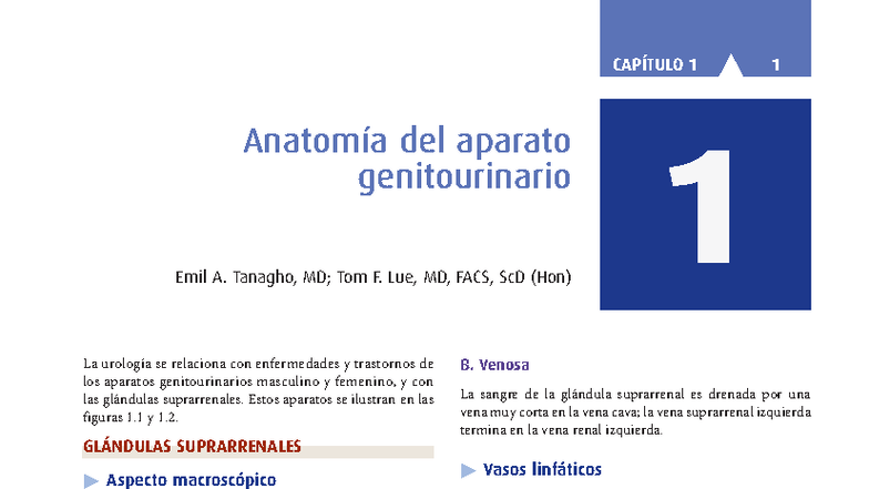 CAPÍTULO 1 Anatomía del Aparato Genitourinario - Smith Parcial 1 - Studocu