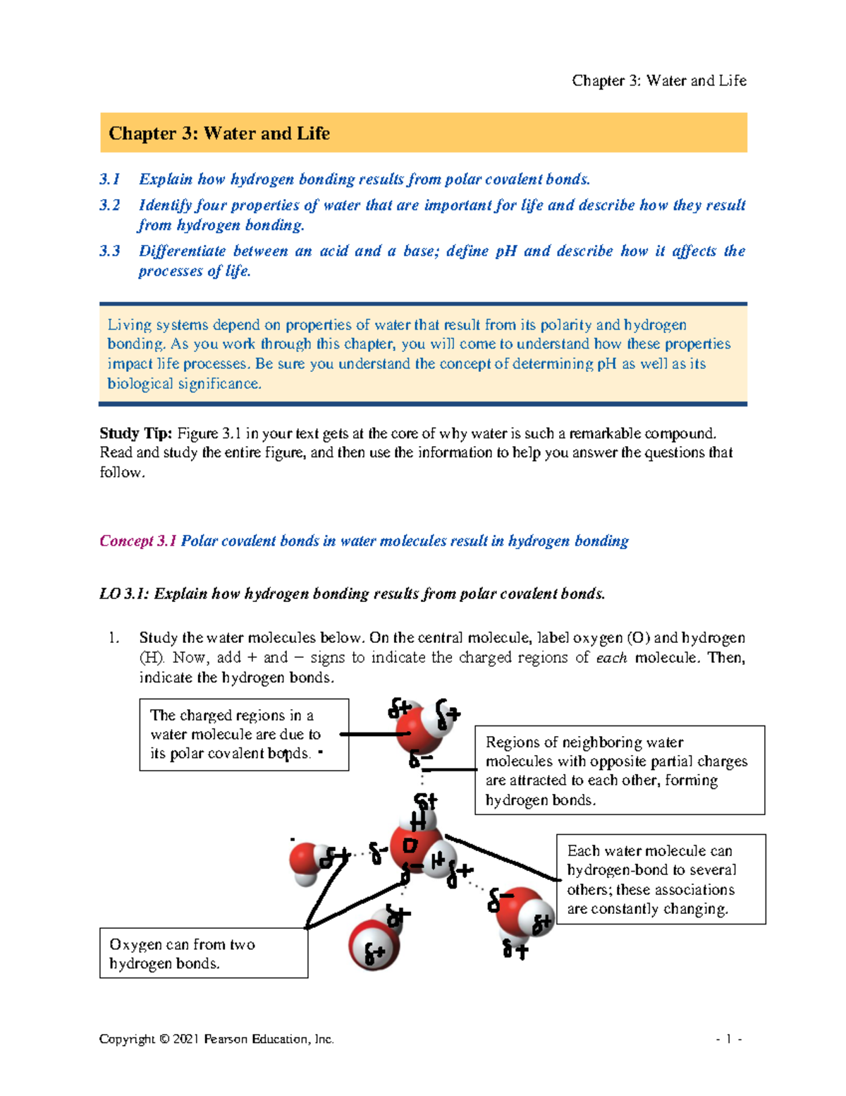 Chapter 3: Water's Role in Life and Key Biological Properties - Studocu