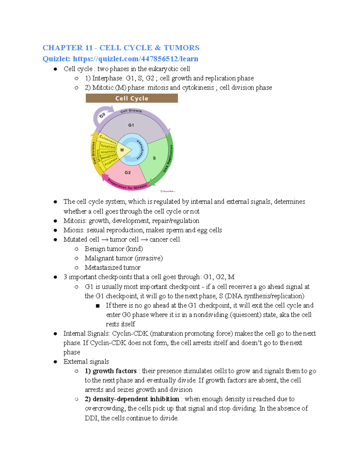 BIOL 101 Chapter 11 Study Guide: The Cell Cycle & Tumor Biology - Studocu