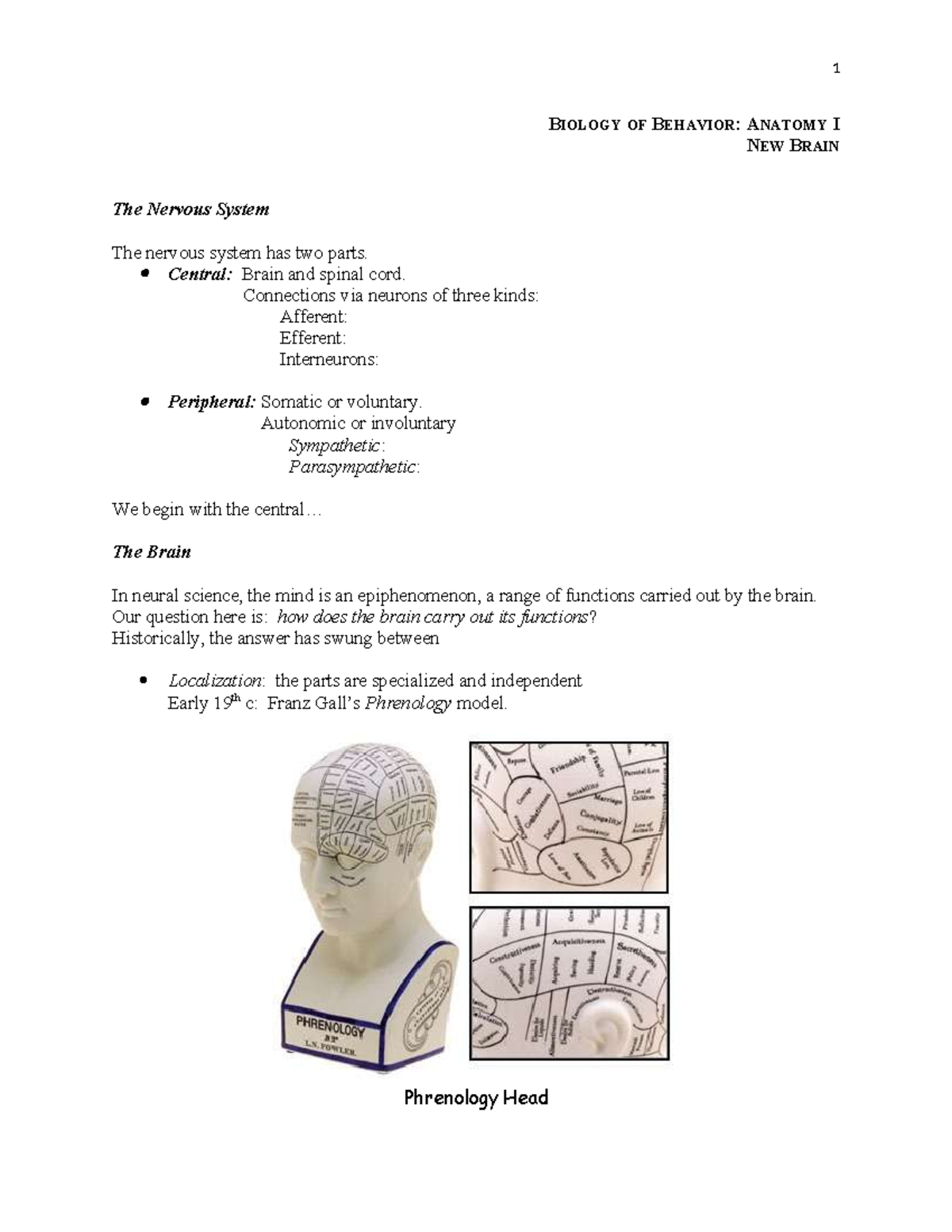 Understanding Aphasia and Brain Function: Connections and Disorders ...