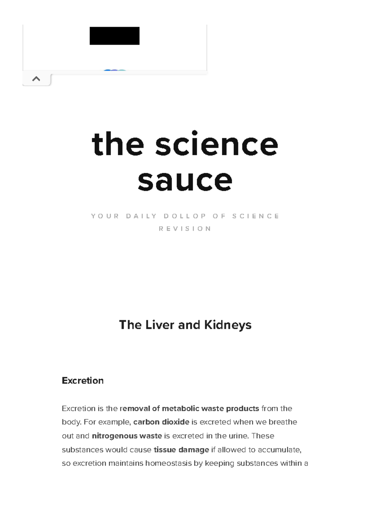 The Liver and Kidneys OCR — the science sauce - the science sauce Y O U ...
