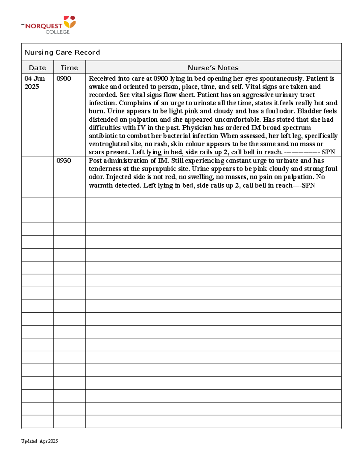 Nursing Care Record: Patient Assessment & Treatment Notes (Updated Apr ...