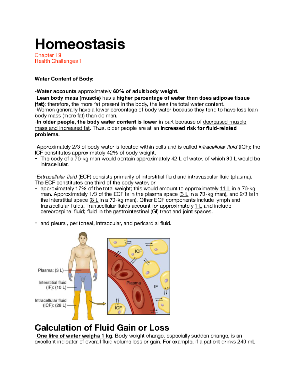 Homeostasis Chapter 19: Health Challenges and Fluid Balance Insights ...