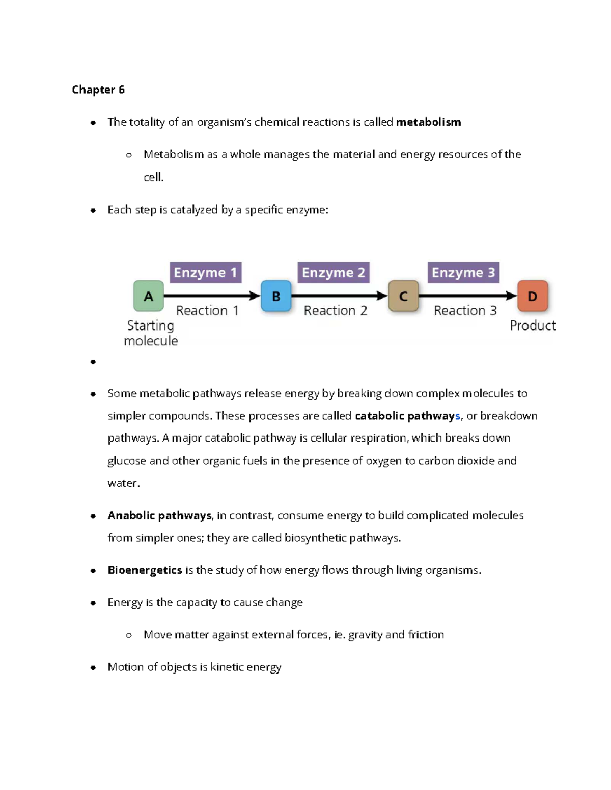 Final Exam Study Guide: Metabolism, Photosynthesis & Respiration (Bio 101) - Studocu