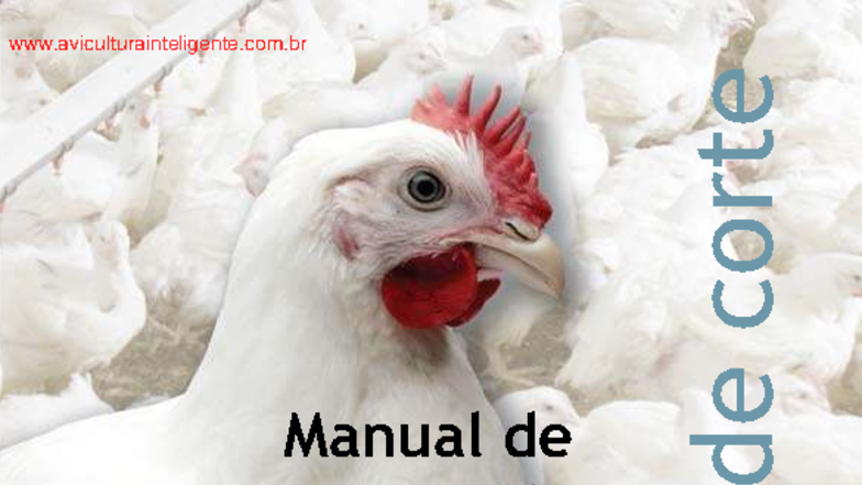 Manual de Manejo de Frangos de Corte COBB: Diretrizes e Práticas - Studocu