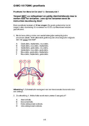 [Solved] Hoe maak je onderscheid tussen losmazig bindweefsel straf ...