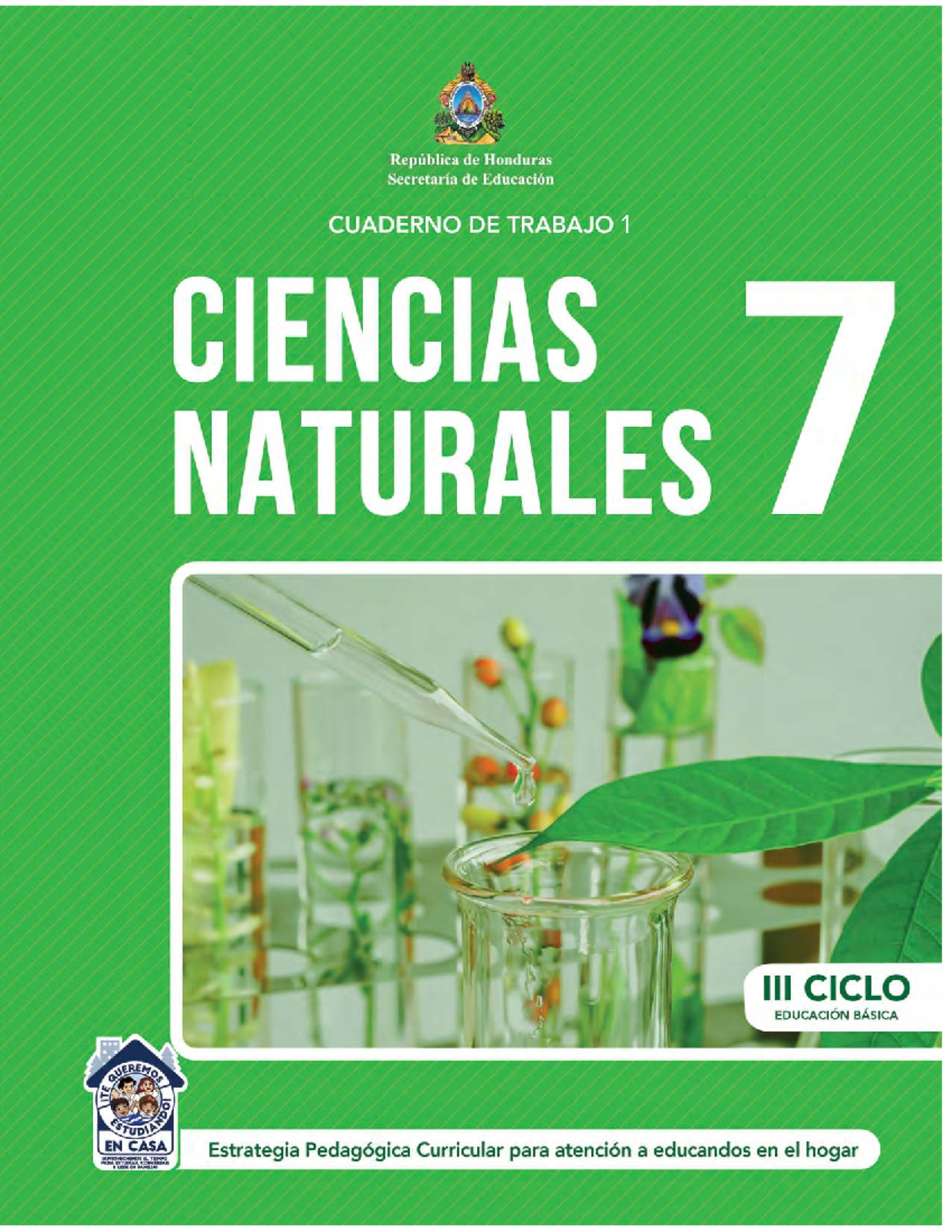 Cuaderno de Trabajo: Ciencias Naturales 7° Grado - Lecciones y ...