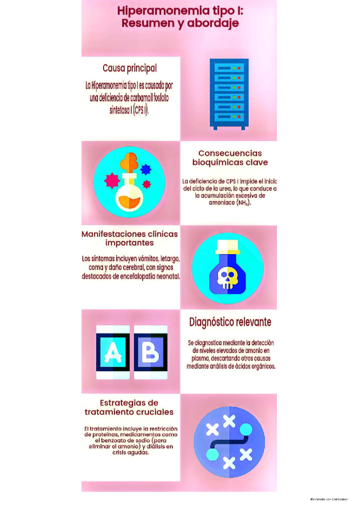 Infografías de Repaso sobre Hiperamonemia y Metabolismo (BIO 101) - Studocu