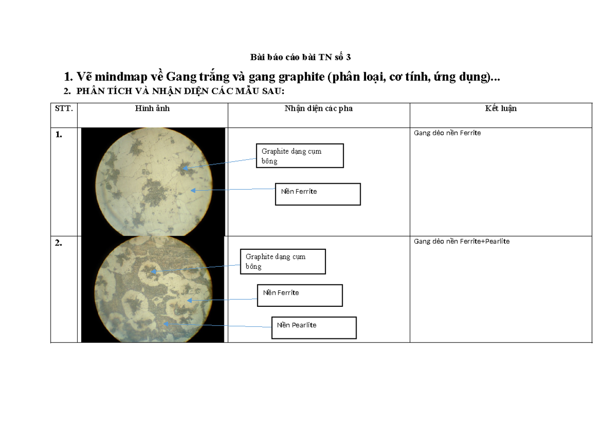 Báo cáo TN số 3: Phân tích Gang trắng và Gang graphite - Studocu