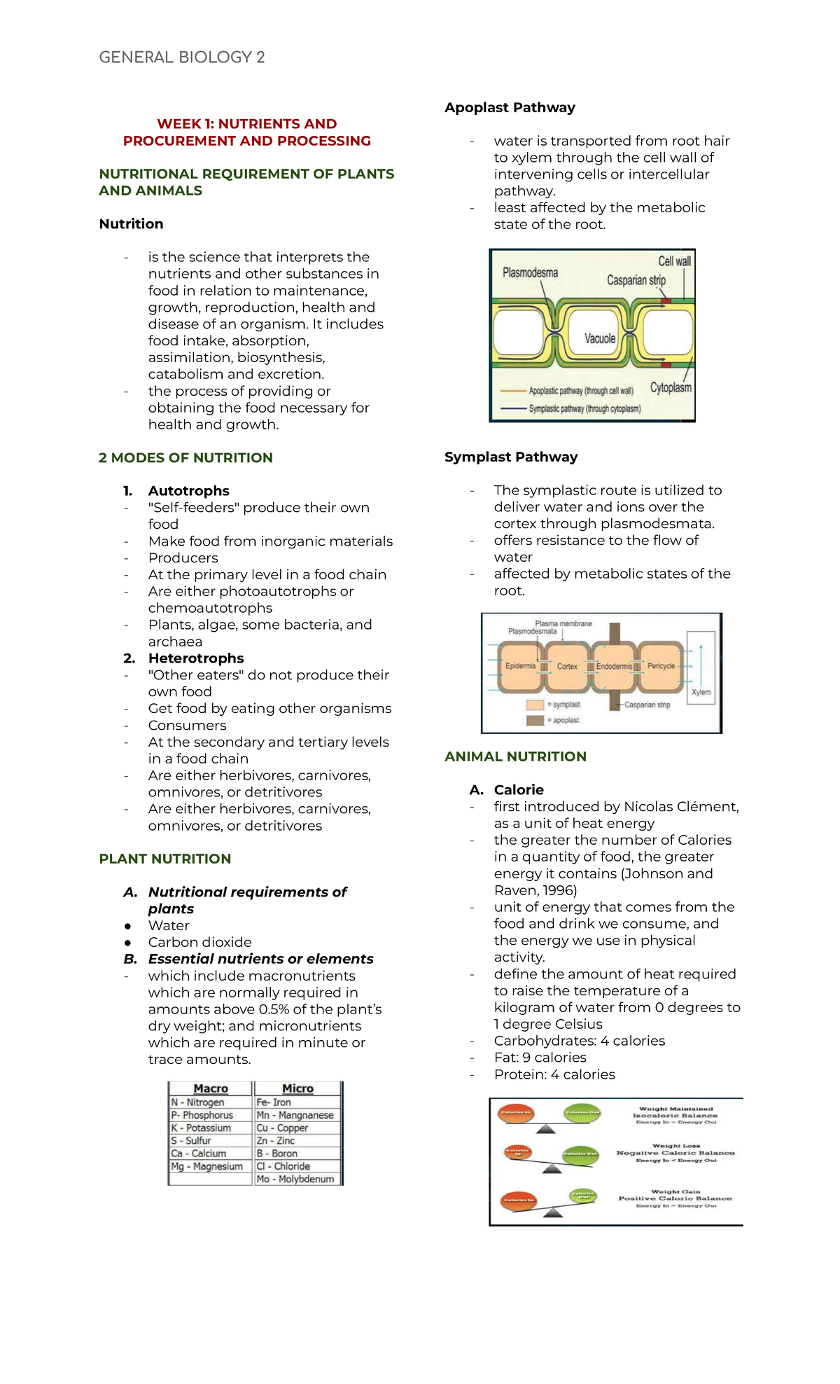 GENERAL BIOLOGY 2 - WEEK 1: NUTRITIONAL REQUIREMENTS AND PATHWAYS - Studocu