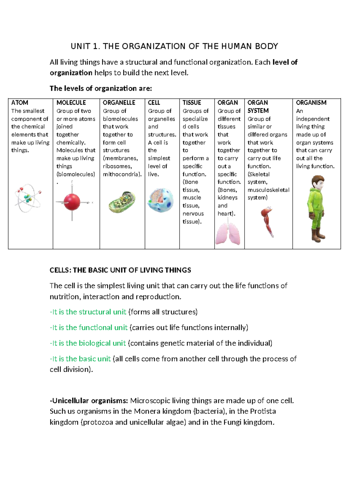 Biology Summary: Unit 1 - Organization of the Human Body - Studocu