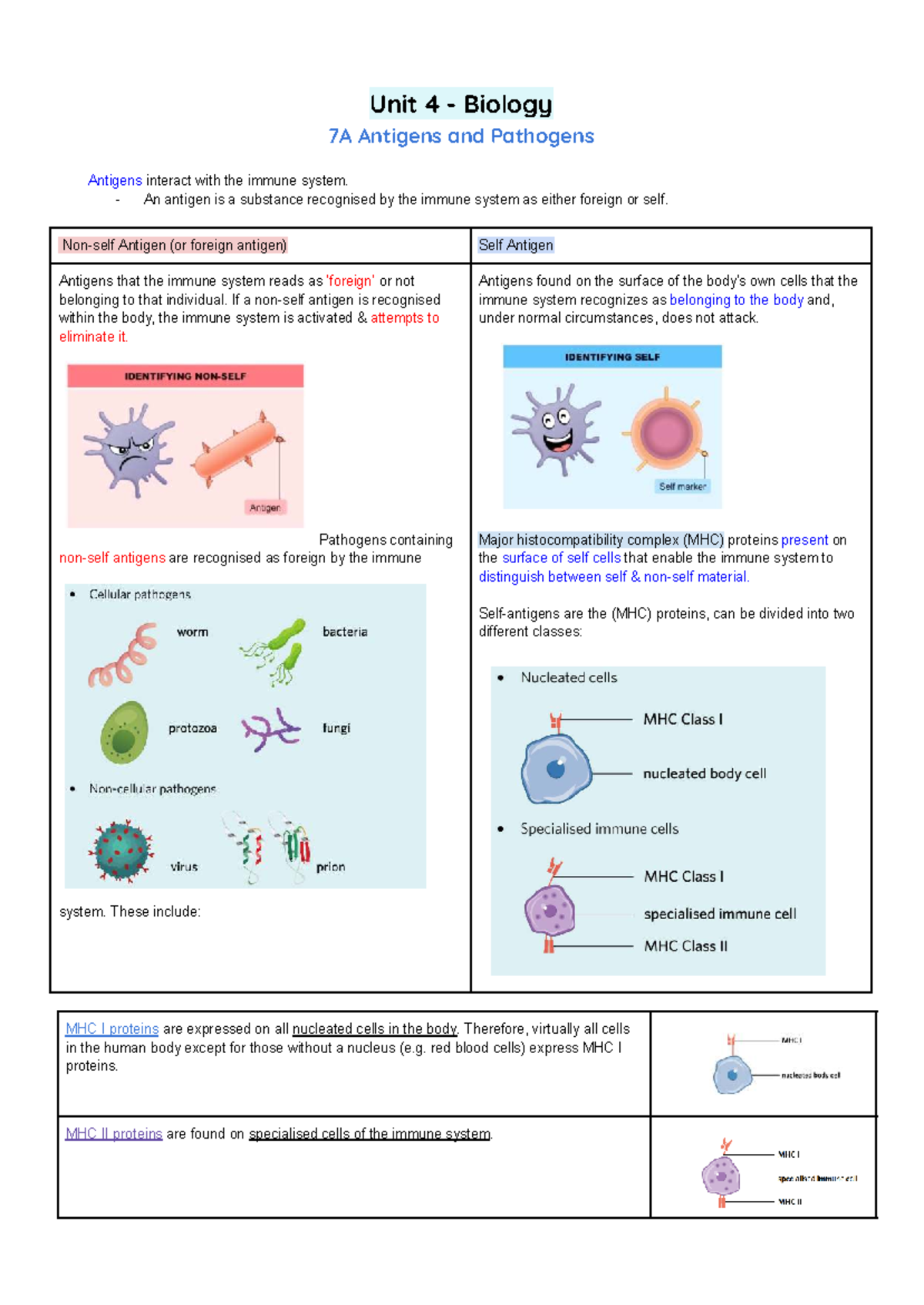 Unit 4 Biology 7A: Antigens, Pathogens, and Immune Response Overview ...