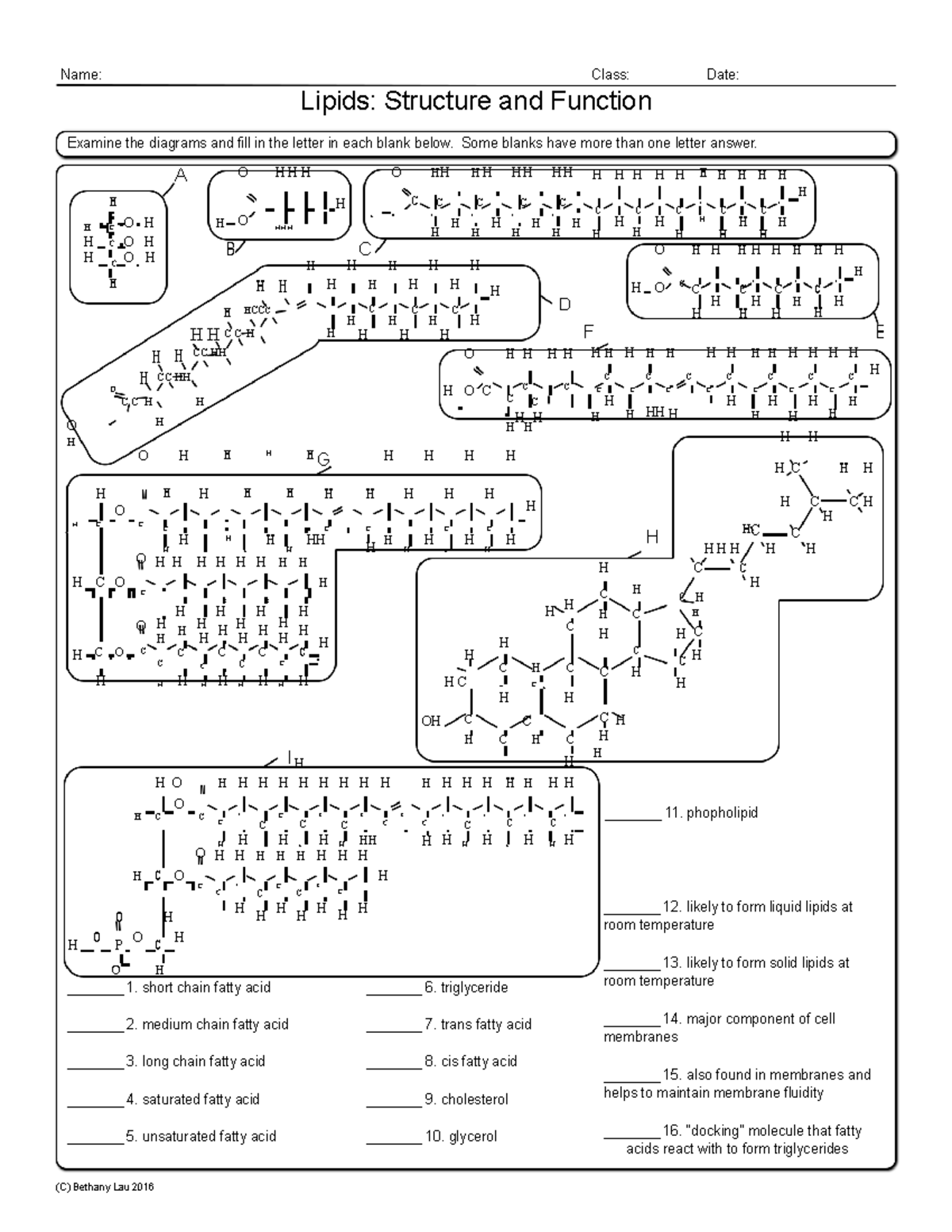 06 - Lipids Structure and Function Homework Worksheet-1 - Name: Class ...