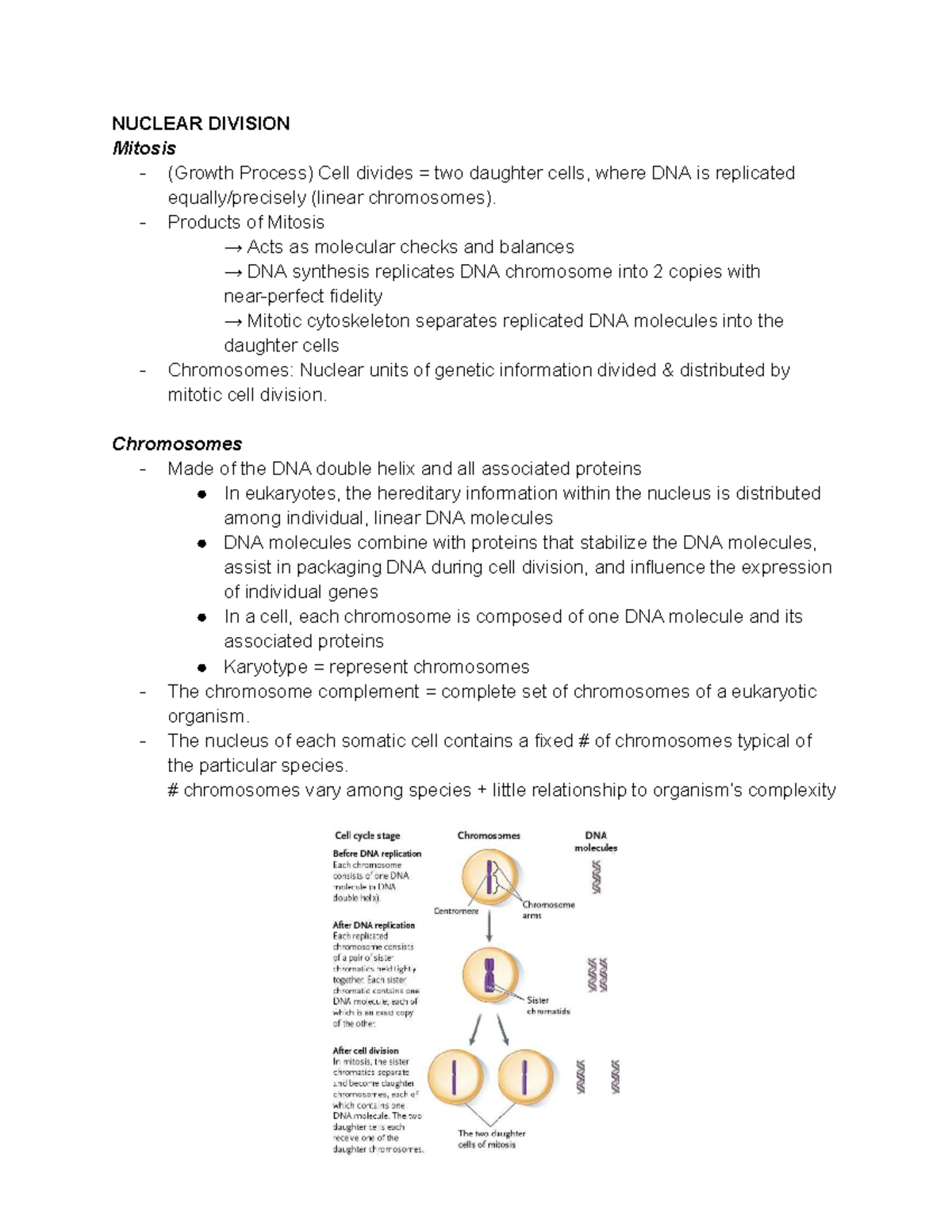 Chromosomes, Mitosis, & Meiosis Overview (BIO 101) - Studocu