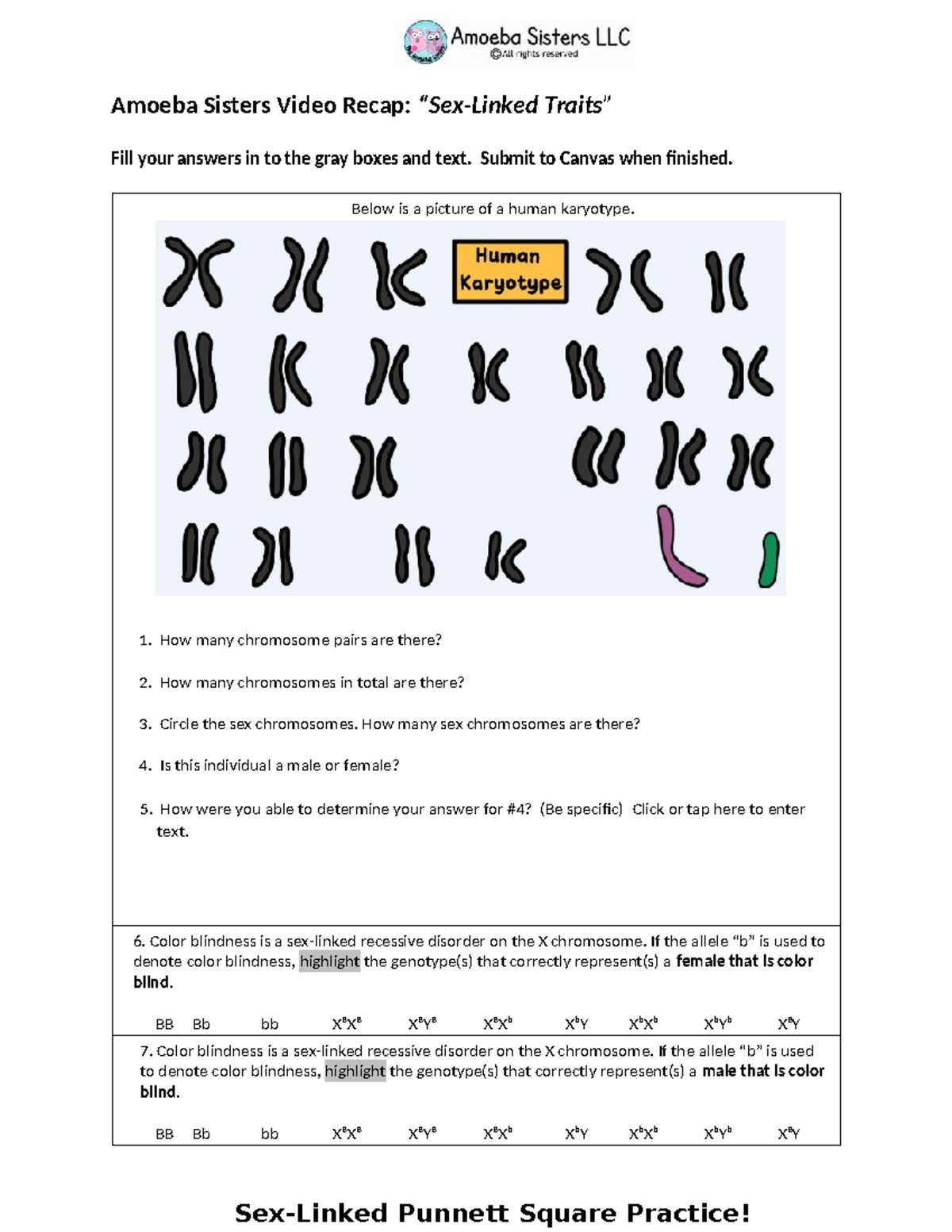 Amoeba Sisters Video Recap: Sex-Linked Traits Highlights - Studocu