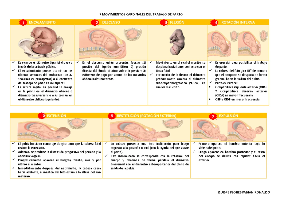 Curva de Friedman - CURVA DE FRIEDMAN Friedman en el año 1954 presentó ...