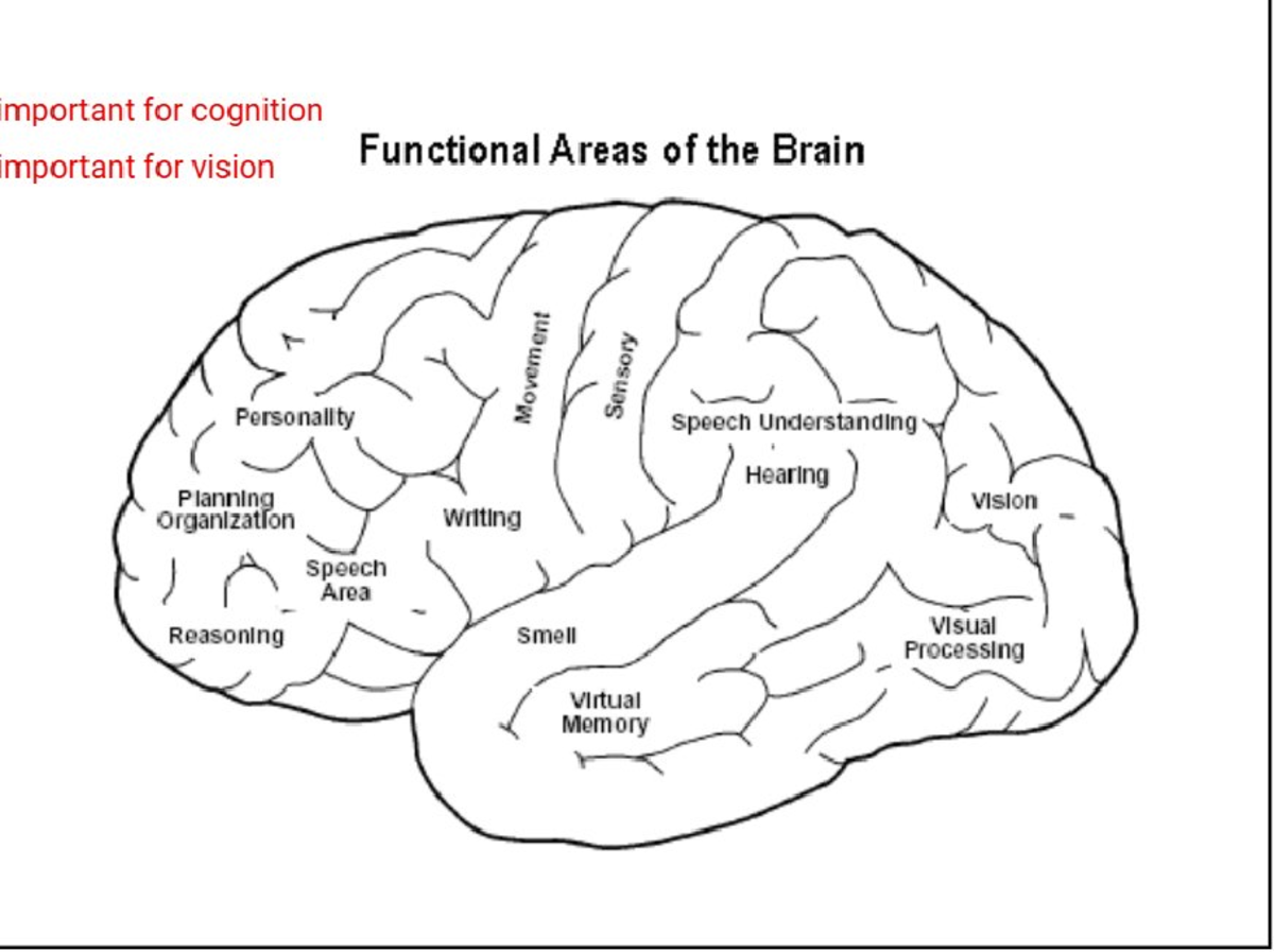 Final Exam Study Guide for Course CODE 101: Key Concepts and Topics - BIOL 103 - important for ...
