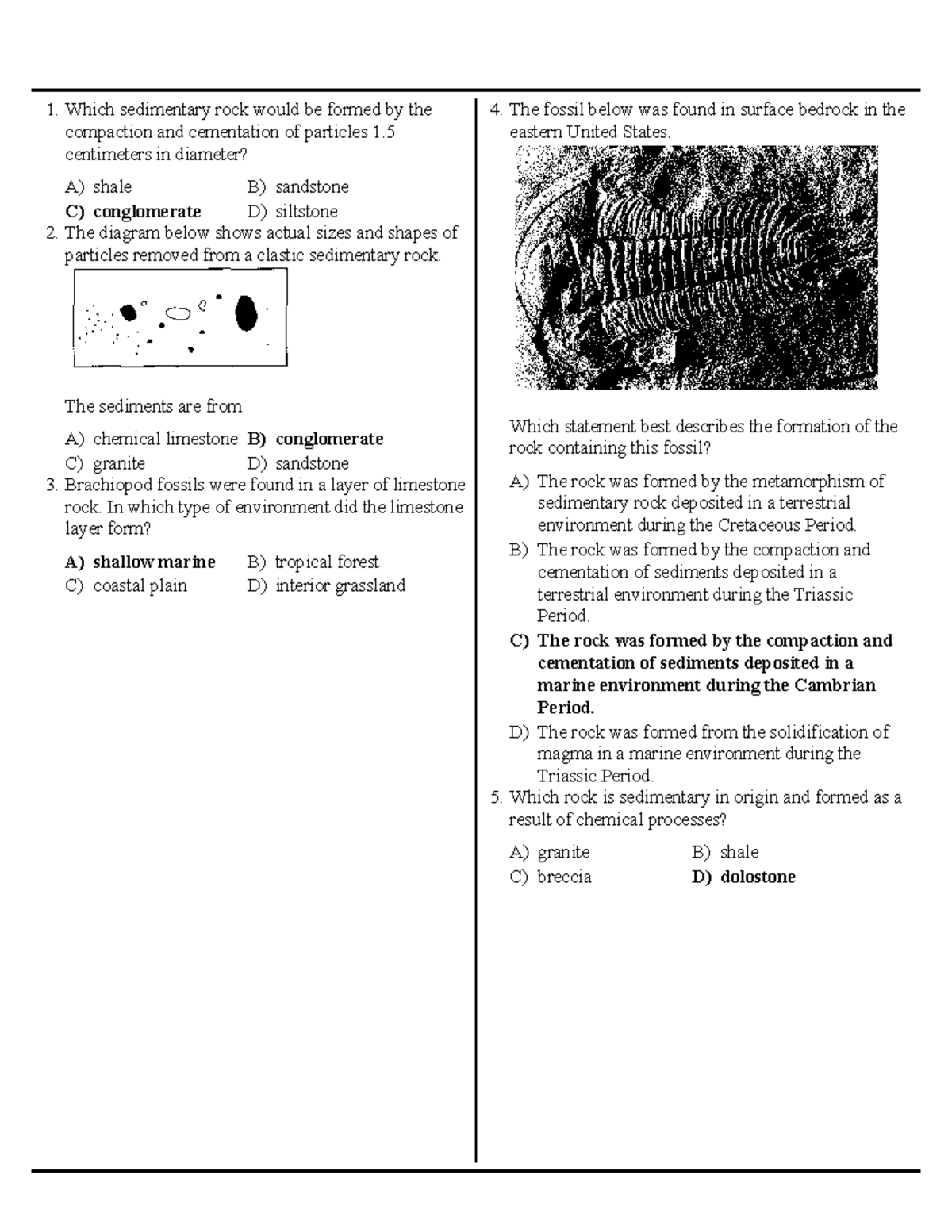 Sedimentary-rocks-answers - A) shale B) sandstone C) conglomerate D ...