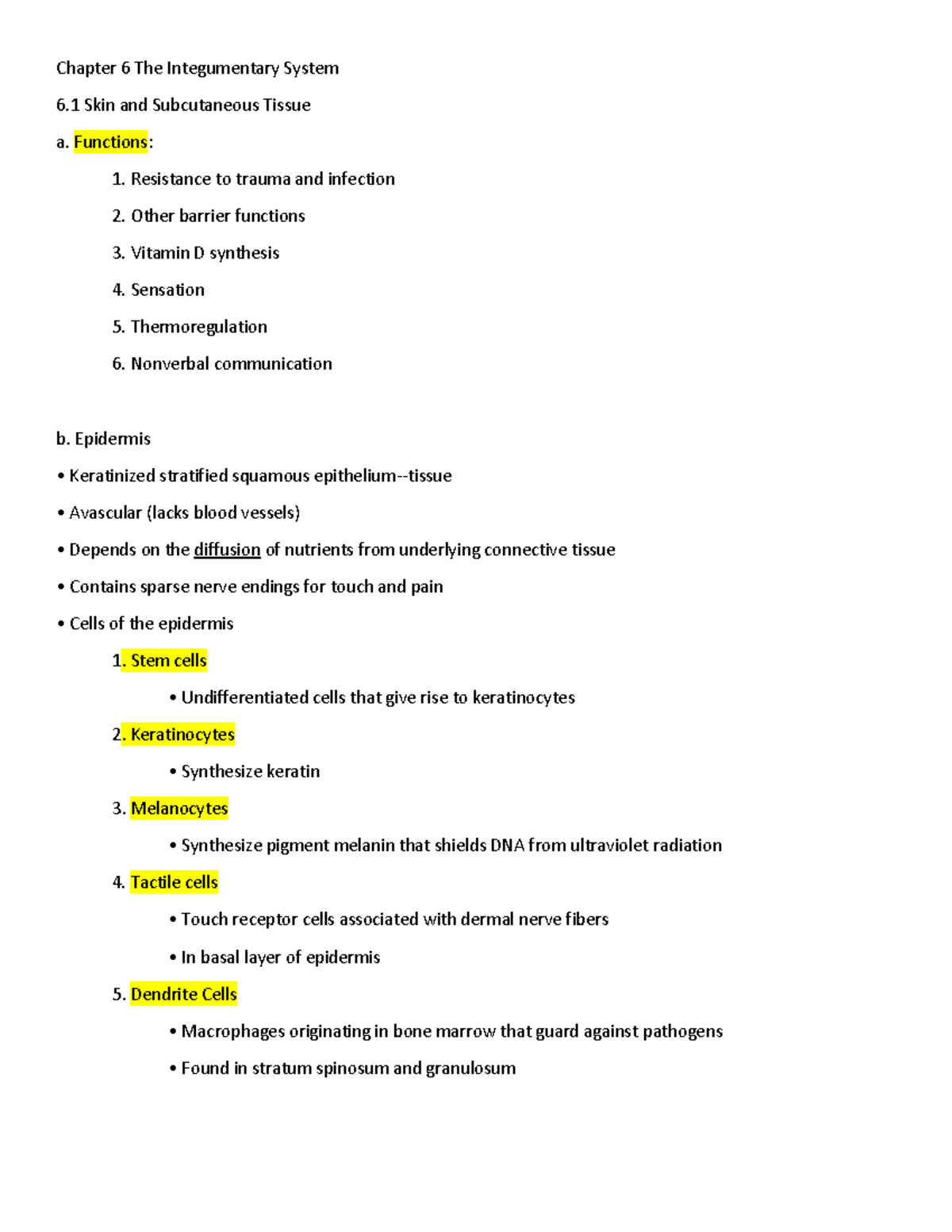 Chapter 6: The Integumentary System Overview and Key Concepts - Studocu