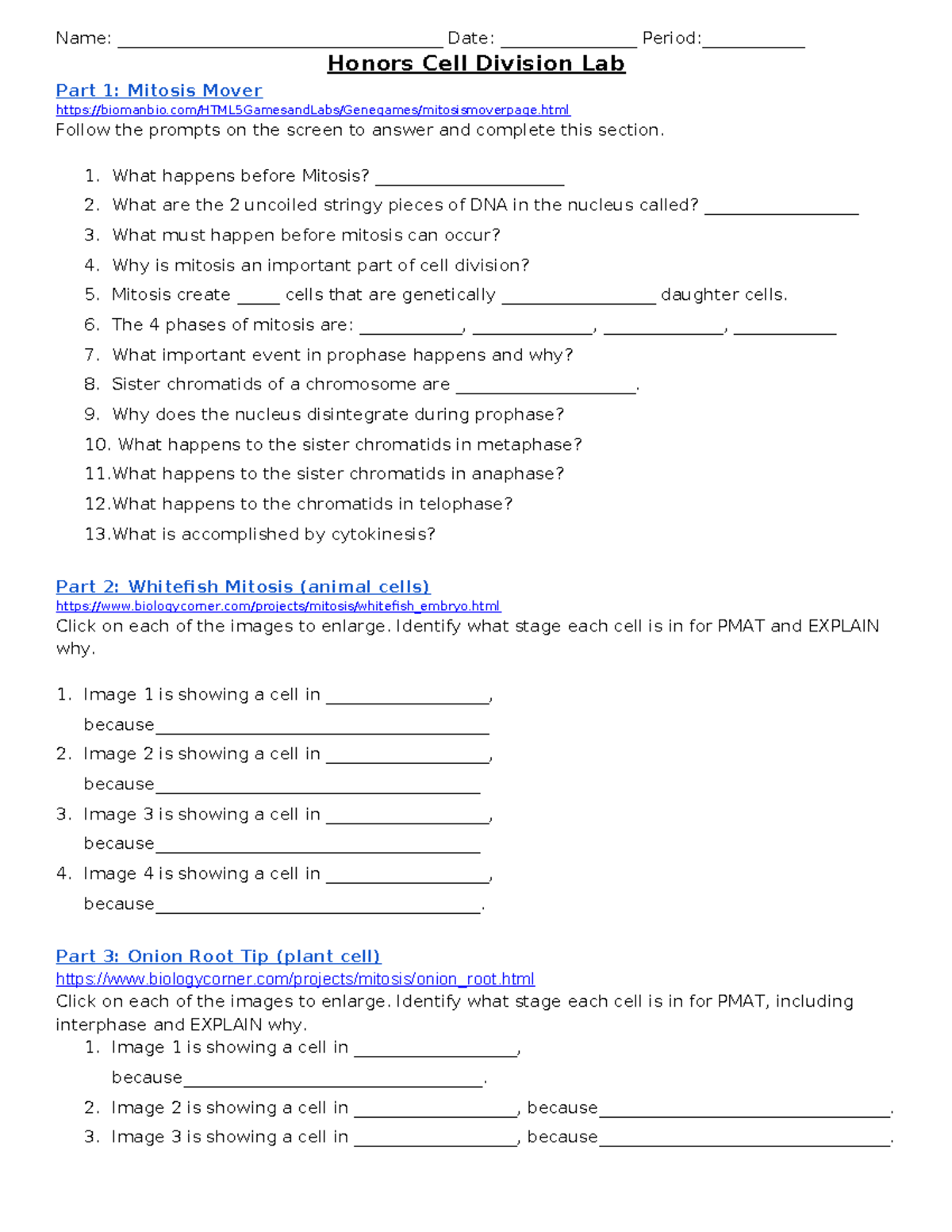Honors Biology Lab: Mitosis & Cell Division Activities Analysis - Studocu