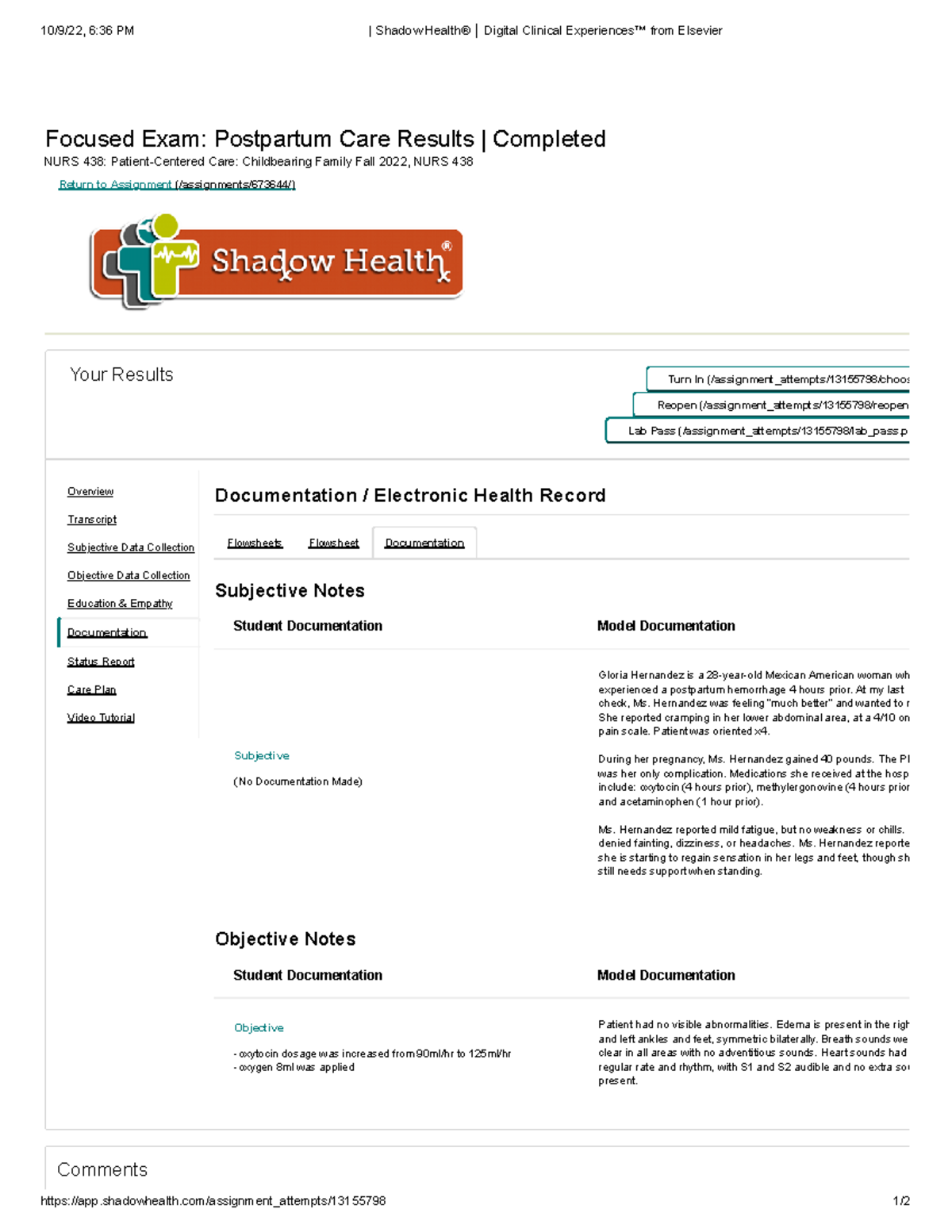 NURS 438 Postpartum Care Documentation and Focused Exam Details - Studocu