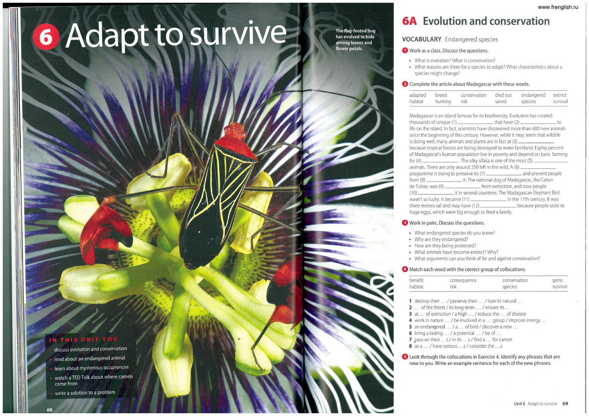 Perspectives Upper Intermediate Students book www - 6A Evolution and conservation O survive The ...