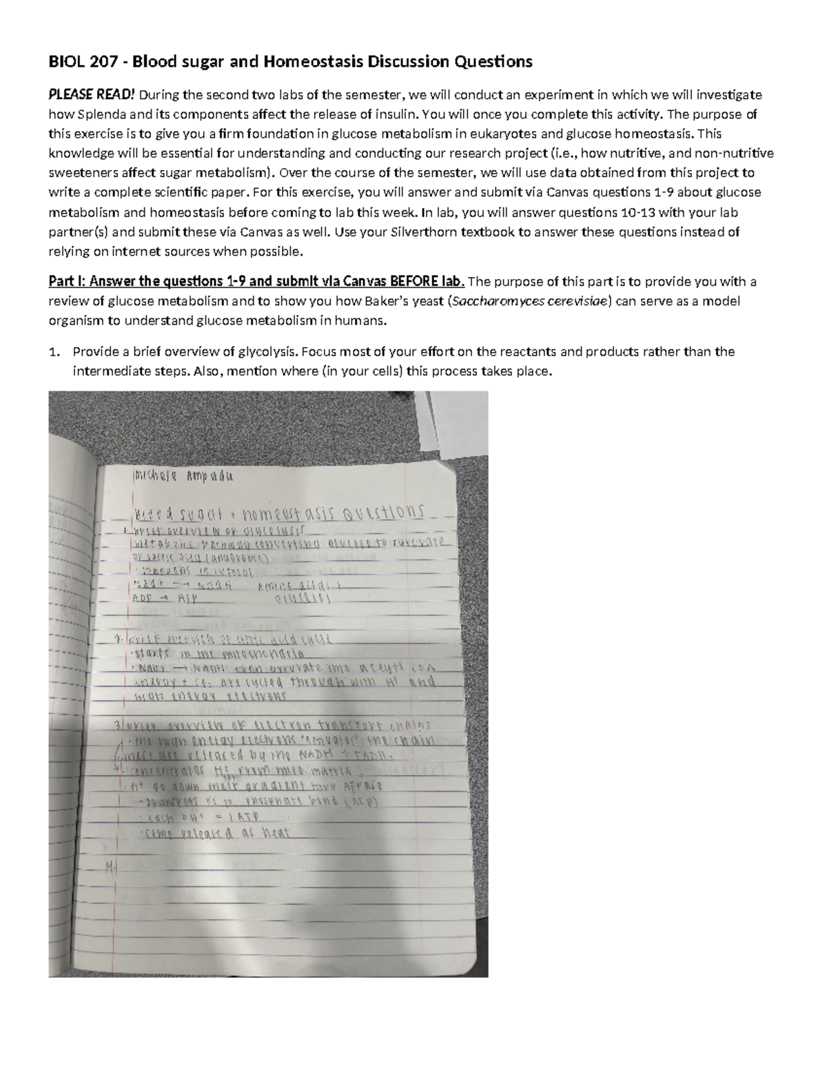 Lab 1 Questions 24 - BIOL 207 - Blood sugar and Homeostasis Discussion ...
