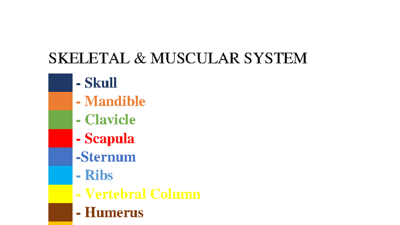 Skeletal - dis is just for premium access - Readings in Philippine ...