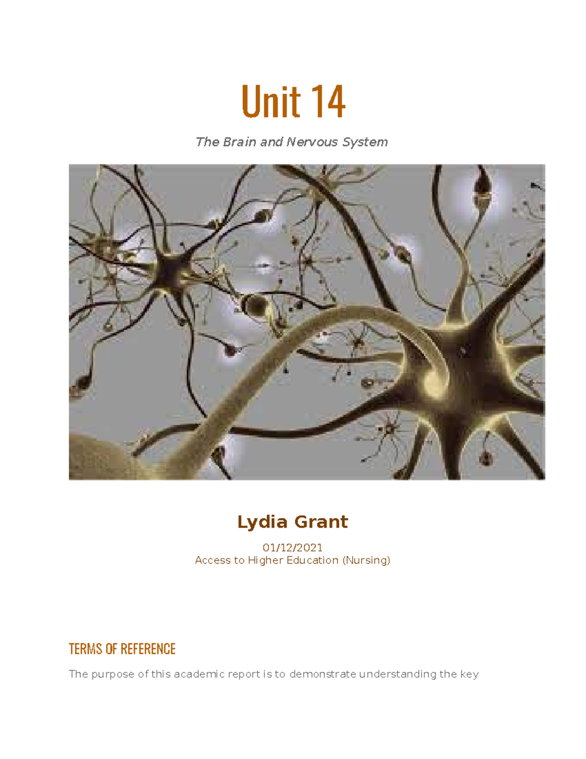 Unit 14 - The Brain and Nervous System (distinction) - Unit 14 The ...