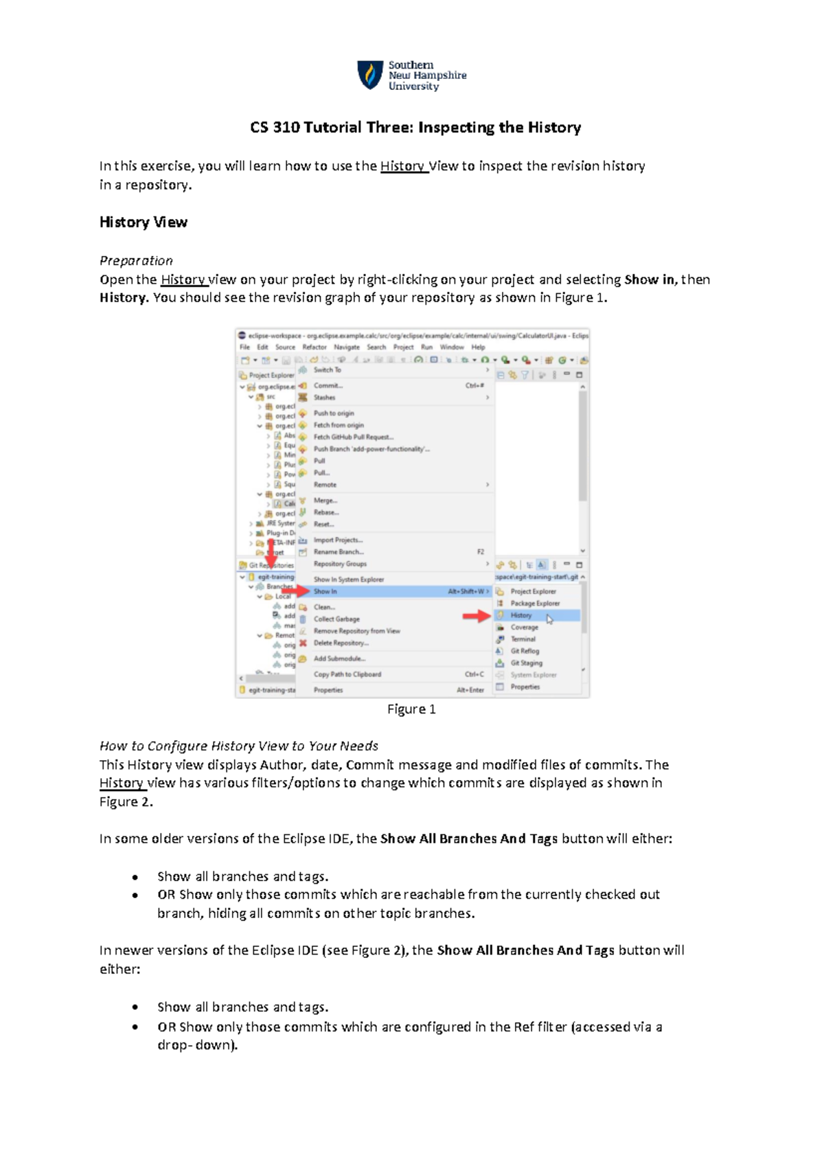 CS 310 Tutorial 3: Using History View in Eclipse IDE - Studocu