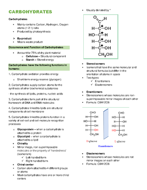 Biochemistry Midterm Topics - Carbohydrates - BIOCHEMISTRY MIDTERM ...