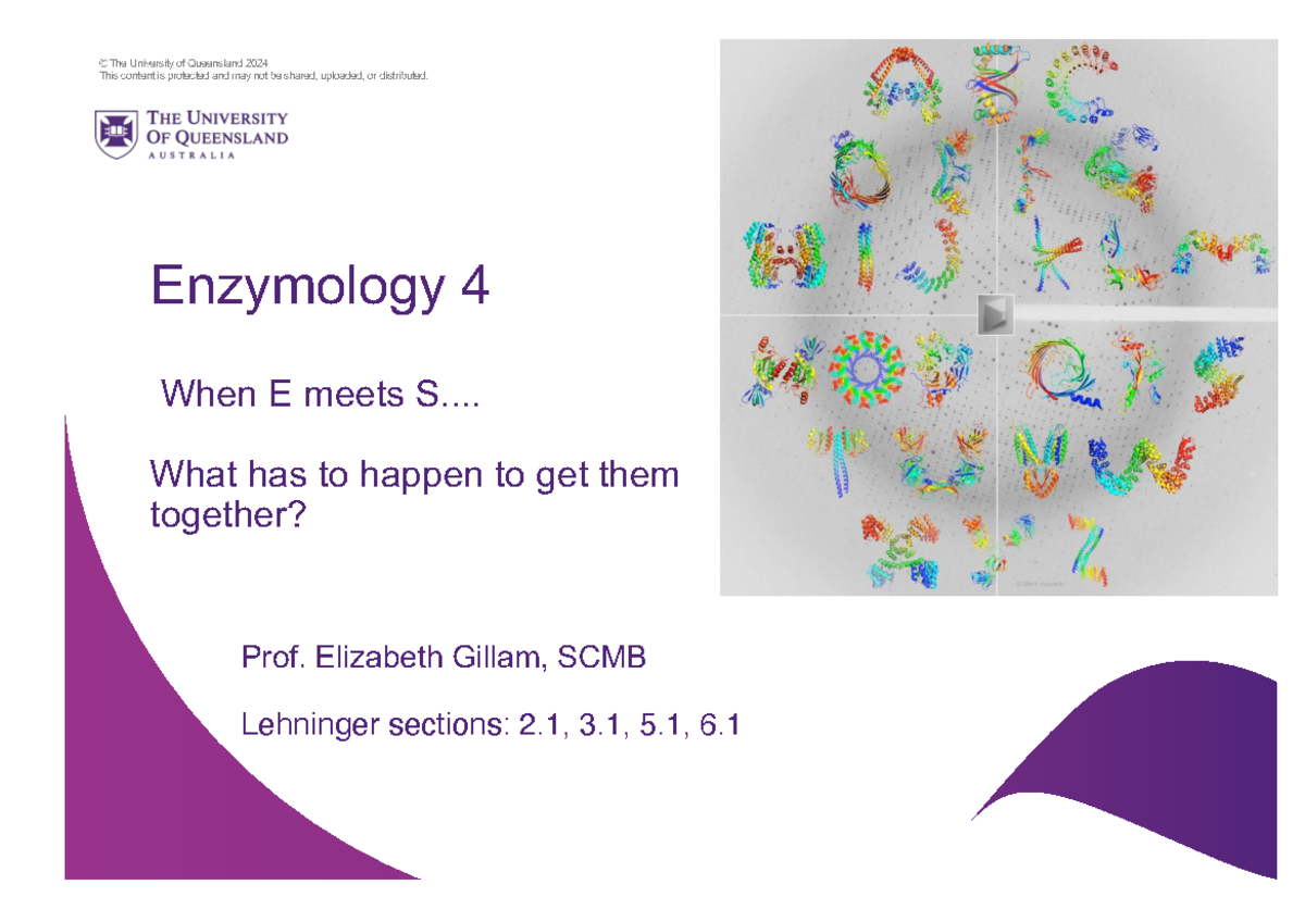 Enzymology 4: Understanding binding dynamics of enzyme-substrate ...