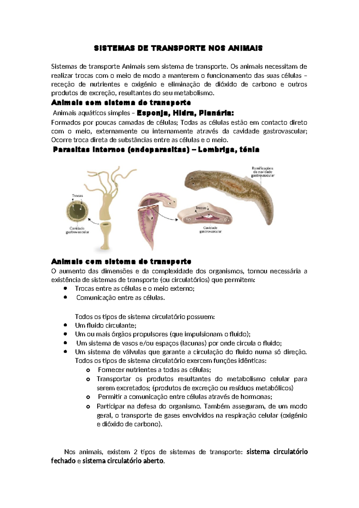 Sistemas de Transporte em Animais: Estruturas e Funções - Studocu