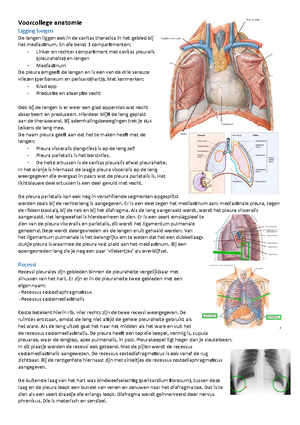Practicum longen anatomie en histologie - Samenvatting Pr Longen Onder ...